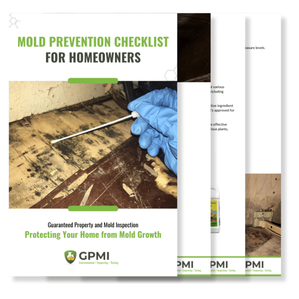 Mold Inspections in the Greater Los Angeles Area